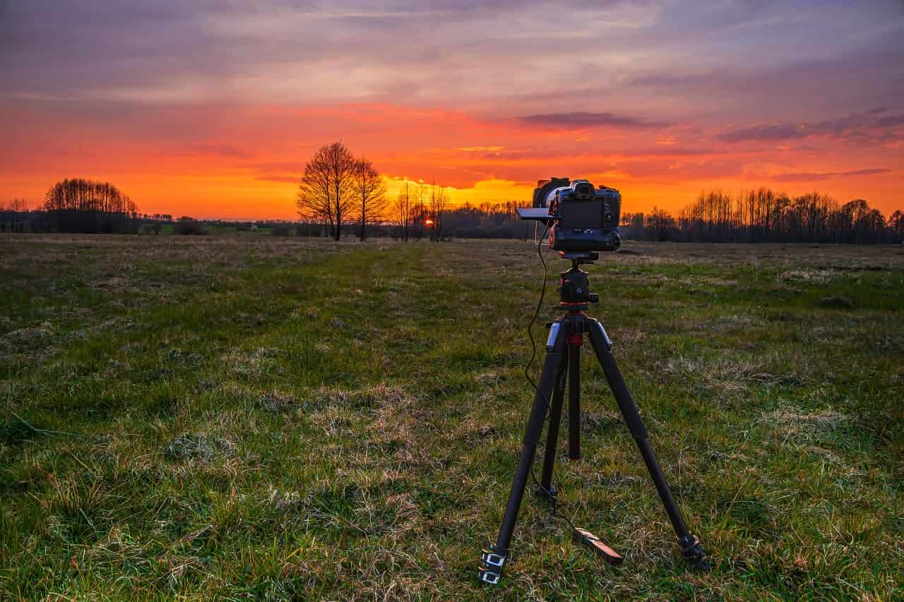 1 ar – ile to m2? Hektar - ile to arów? Wyjaśniamy | Beesafe